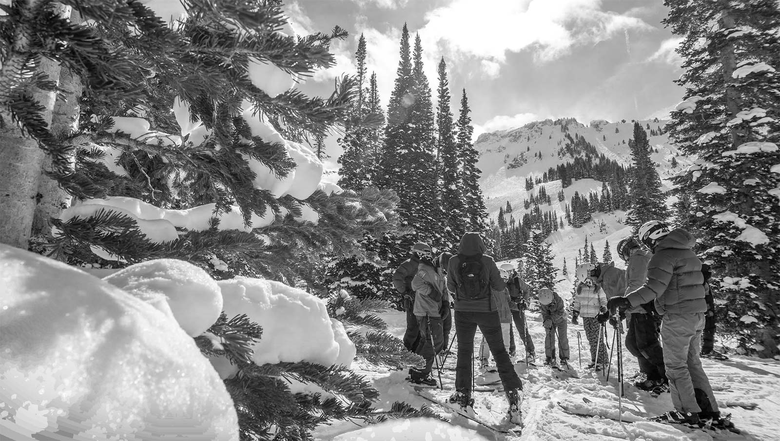 Alta - All Mountain Signs